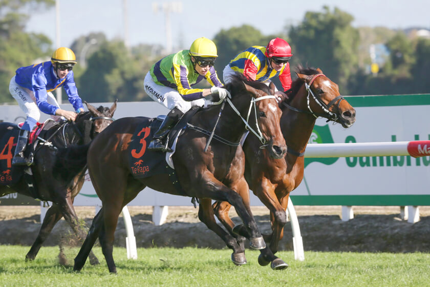 Success - Elsdon Park