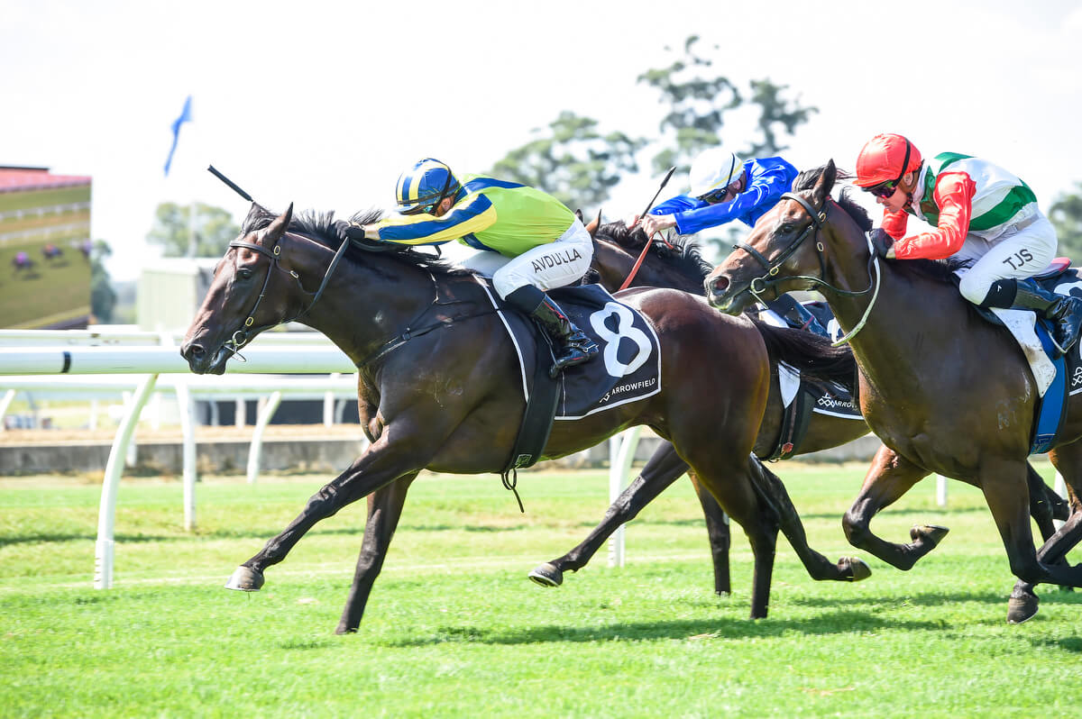 Two from Two Day for Elsdon Park - Elsdon Park