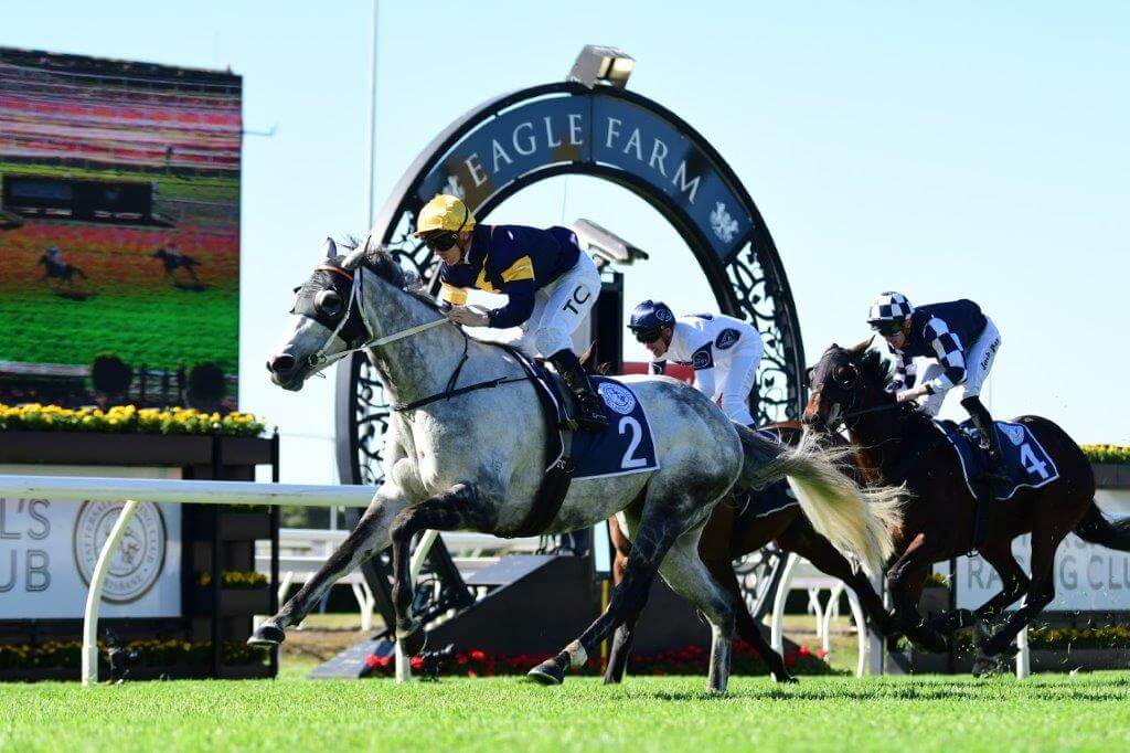 Luncies Delivers Deserved Black-Type Win - Elsdon Park