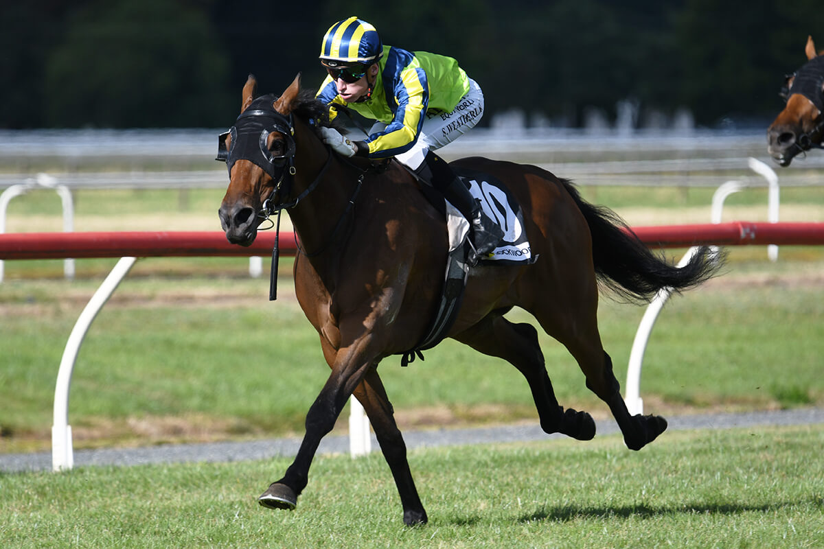 Rebecchi Brilliant at Te Aroha - Elsdon Park
