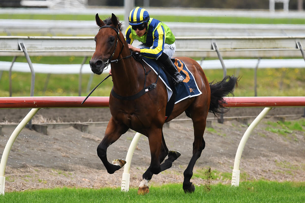 Yaldi Bolts in on Debut - Elsdon Park