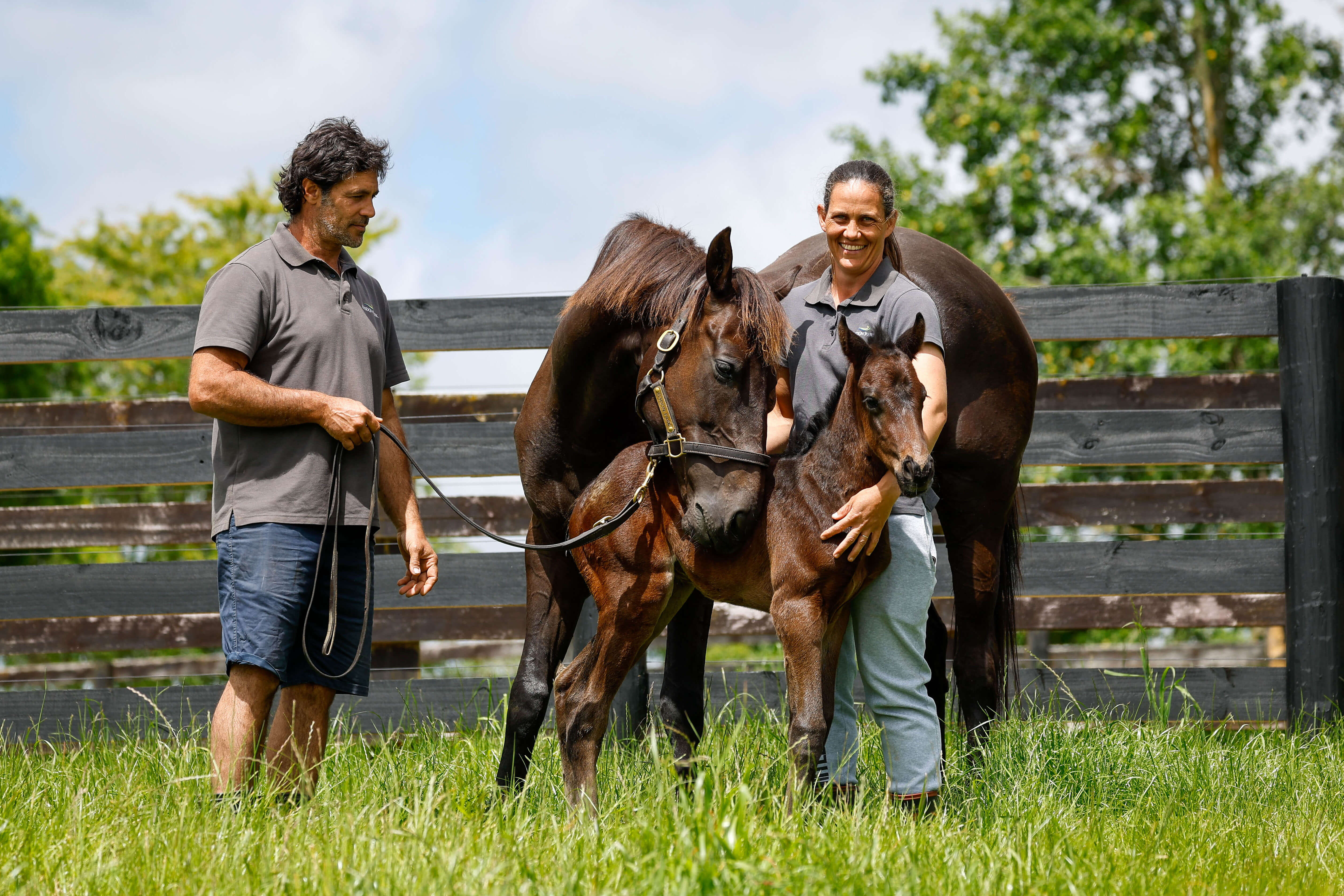 Elsdon Park Seeks Experienced Foal Watch Attendent - Elsdon Park